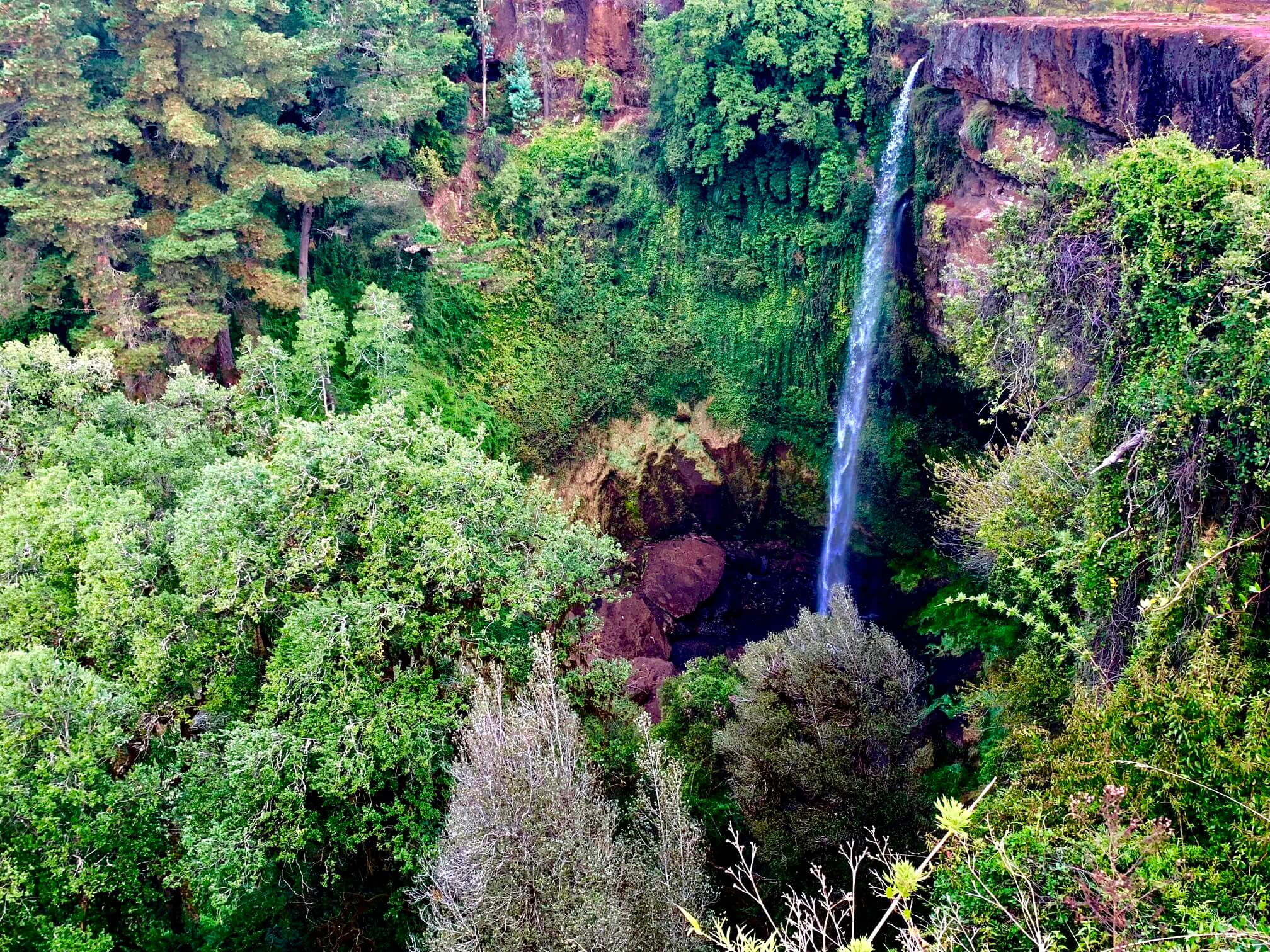 Otras Cascadas de la octava Región. - Llegaste al lugar correcto