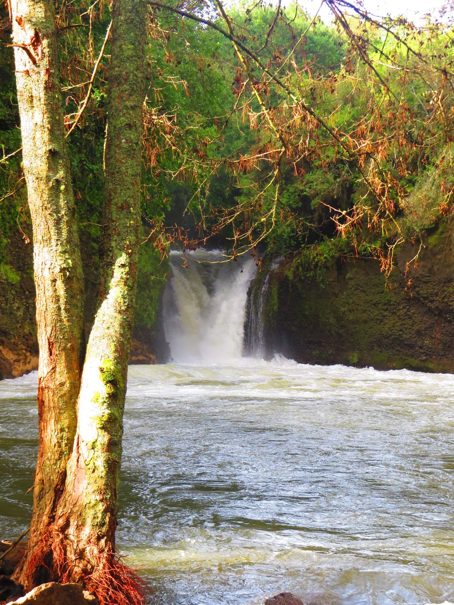 Otras Cascadas de la octava Región. - Llegaste al lugar correcto