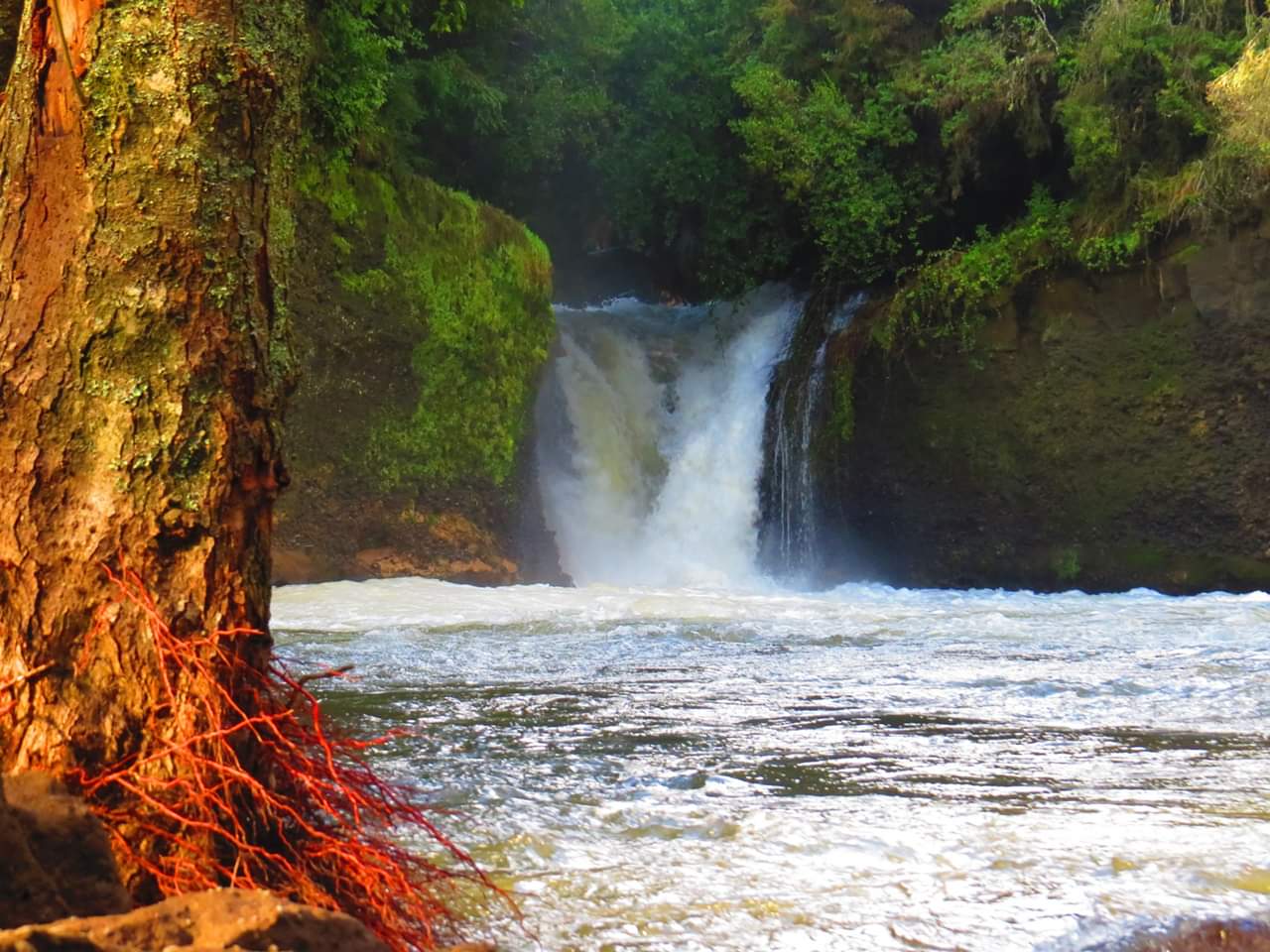 Otras Cascadas de la octava Región. - Llegaste al lugar correcto